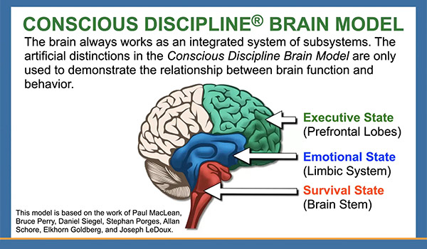 Session 4: Brain State Model (Part 2)